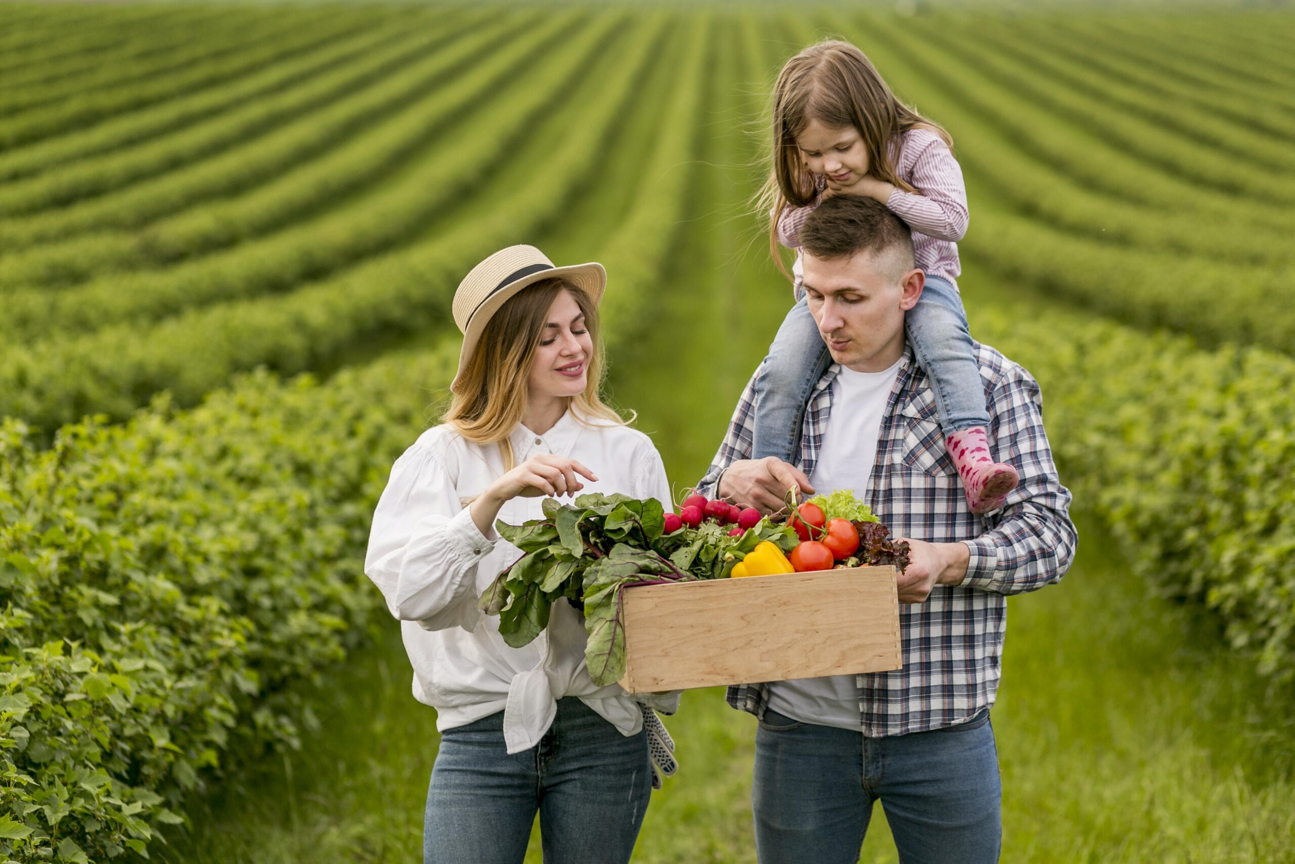 Polskie rolnictwo za granicą. - Projekt Agrar